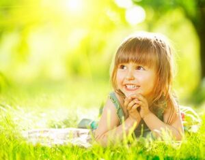 Pest control - X Out Pest Services