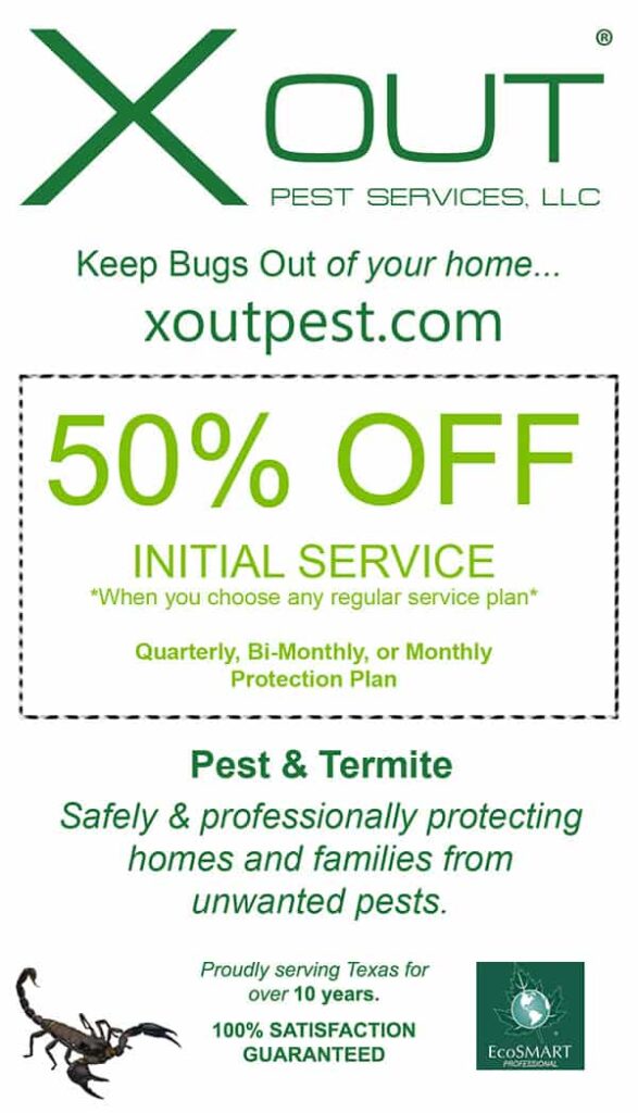 Xoutpest.com – Pest Control Service